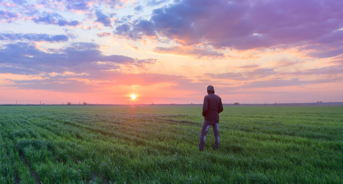 Maplebrook Wills SW - TrustDocs